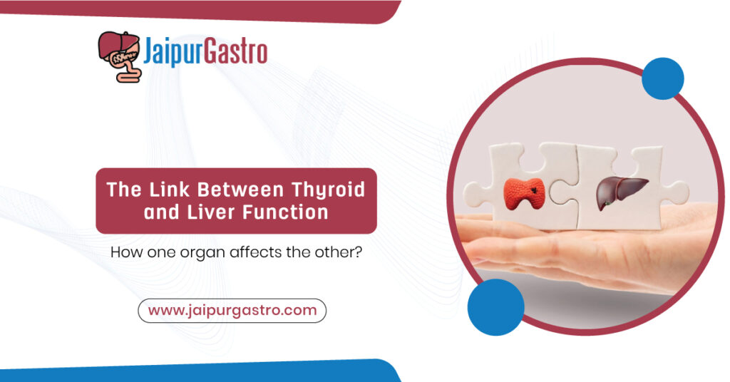 The Link Between Thyroid and Liver Function